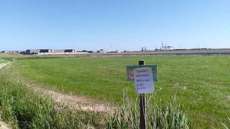 50woordenfoto: Drollen - De Orkaan