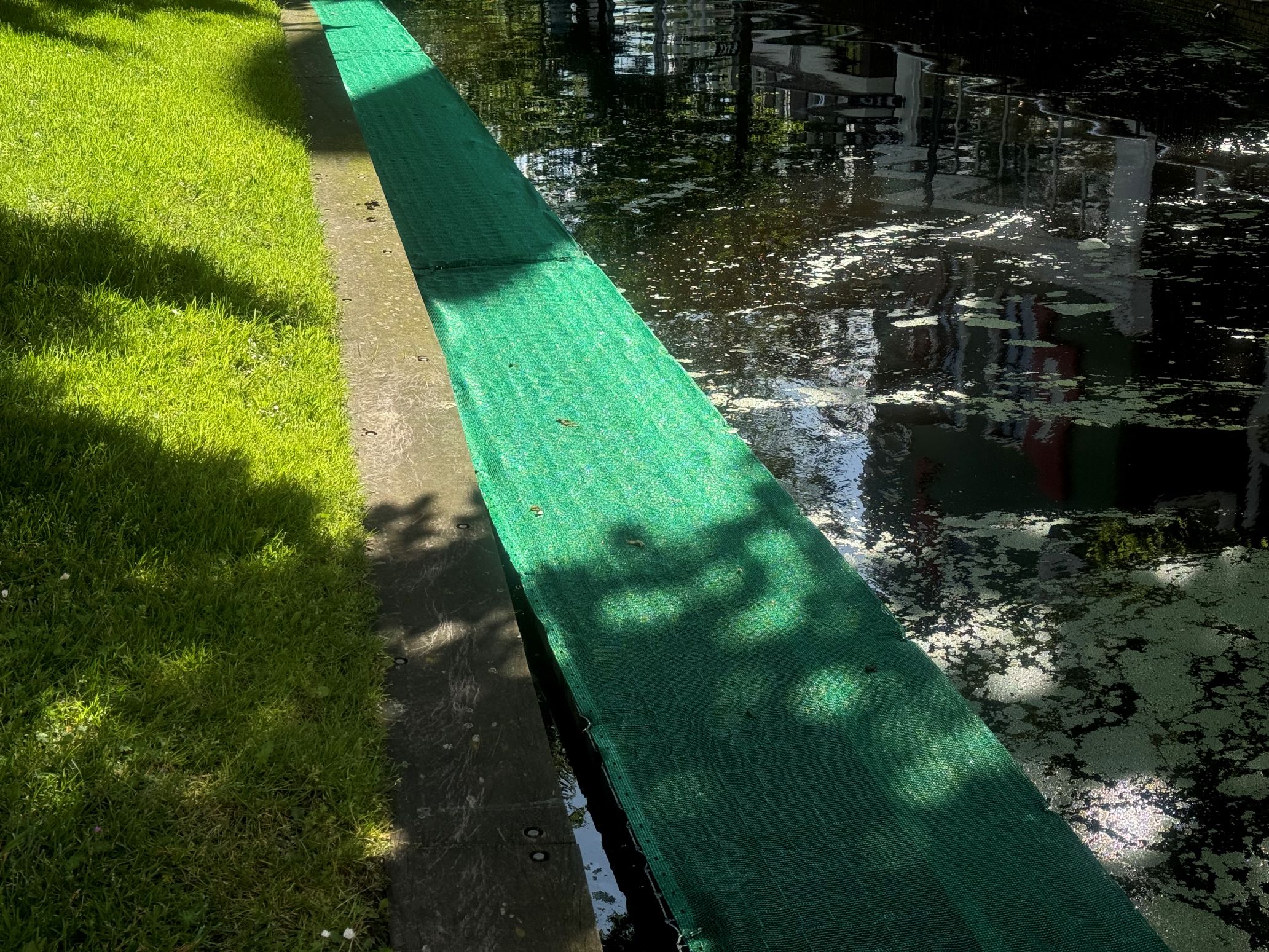 De “Gedempte” gracht nog groener 🎥 - De Orkaan