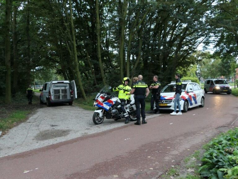 Zaans voor 't hekje: steekincident Veldpark, Hemkade 48 en seksueel ...