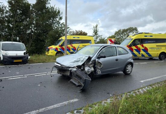 Drie kalfjes dood na bizarre botsing N246 - De Orkaan