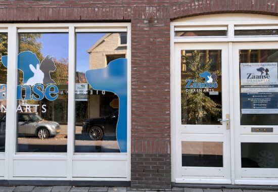 De Orkaan - Pagina 2 van 2361 - Nieuws Cultuur Sport Wonen Bedrijven ...