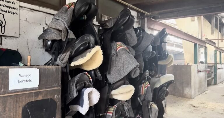 Afwikkeling Manege Veldt: liefdesbaby van paarse krokodil en papieren ...